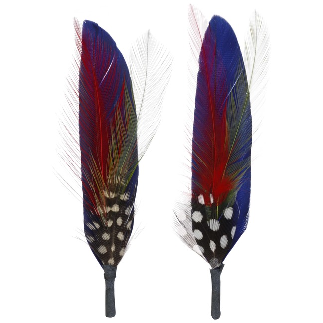 Stetson Set of 2 Feathers